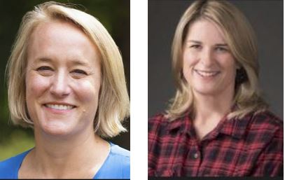 Budzinski will face Deering in Illinois 13th race in fall – Illinois ...