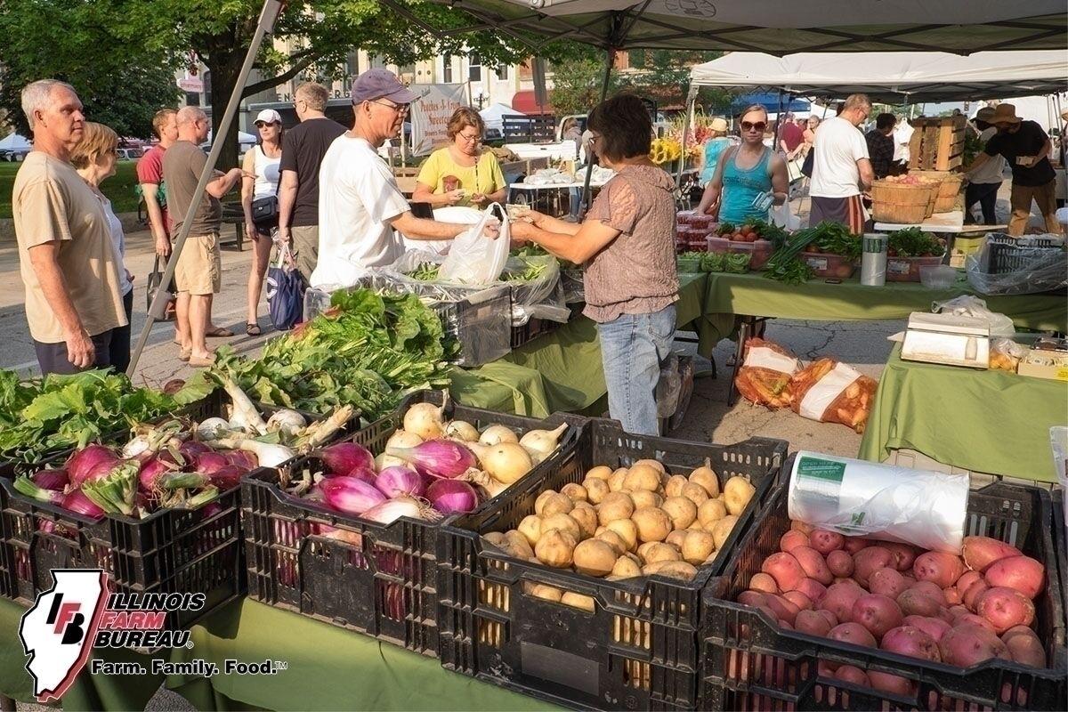 Illinois receives $14.4M to create local food system for underserved ...