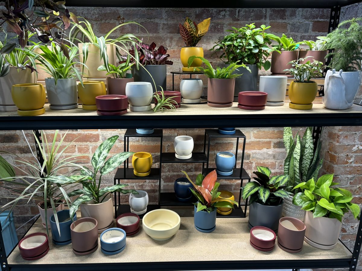 SoCal Soul Plants & Gifts to celebrate grand opening in Edwardsville on ...