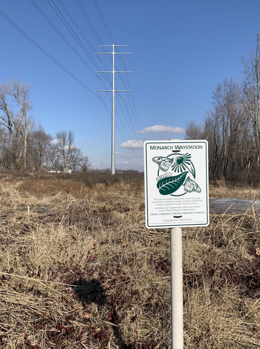 Ameren Illinois pollinators thriving in Metro East – Illinois Business ...