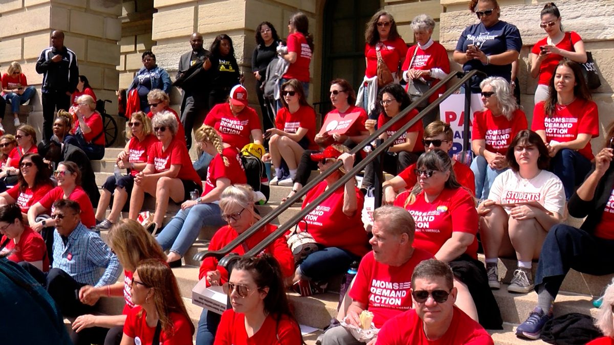 Advocates renew push to tighten firearm laws aimed at protecting ...