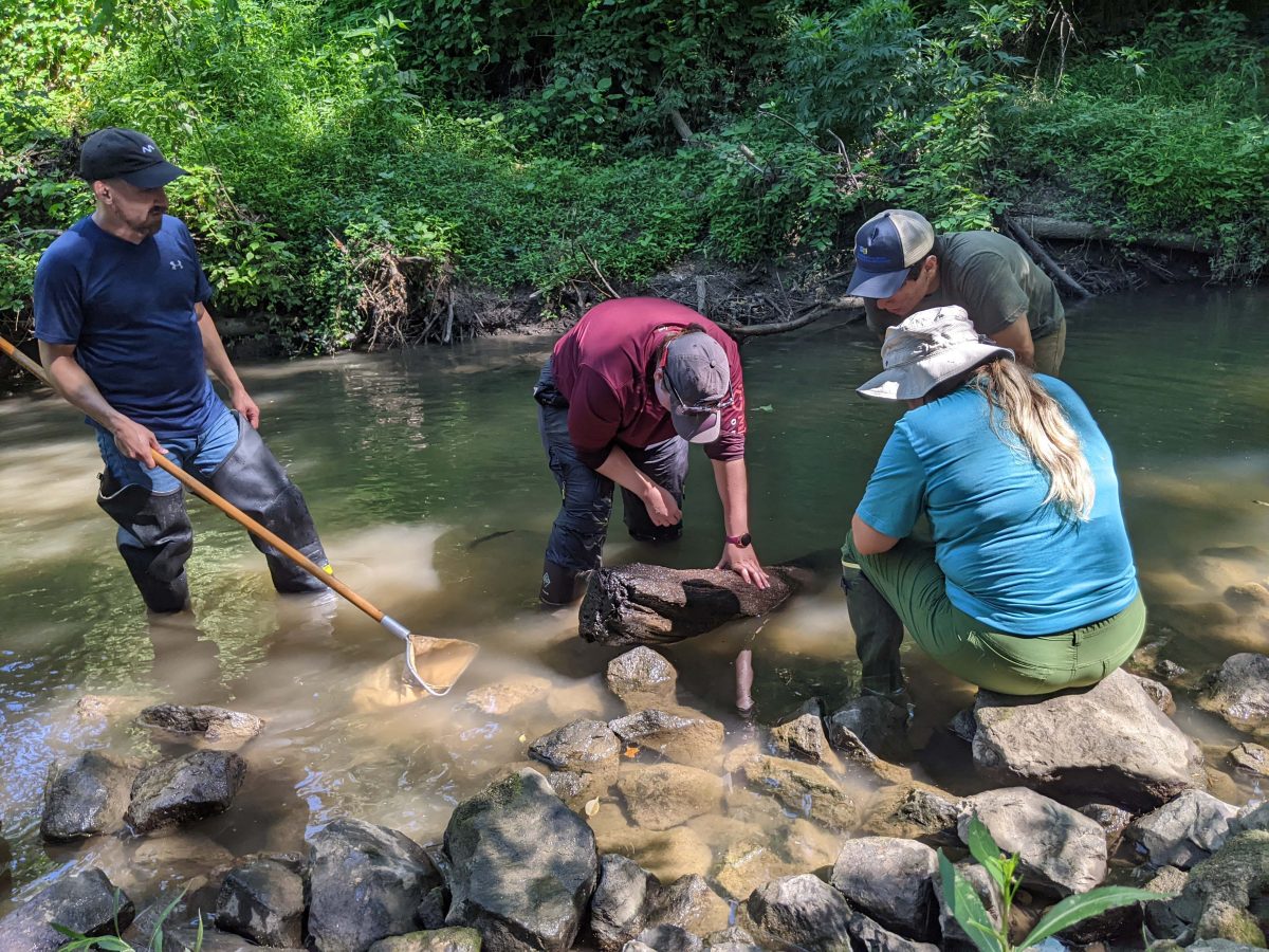 NGRREC invites community to monitor a stream with Illinois RiverWatch ...