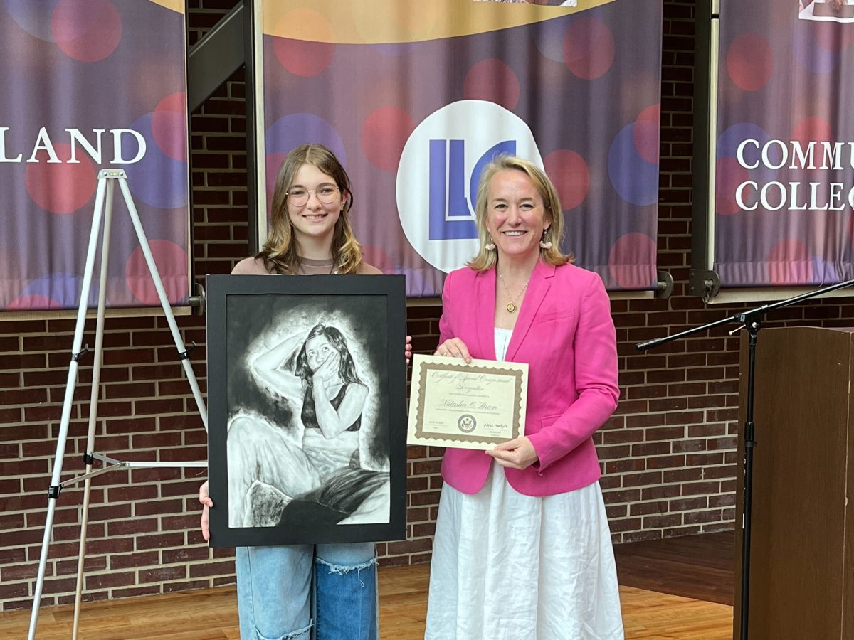 Budzinski announces winners of 2025 Congressional Art Competition ...