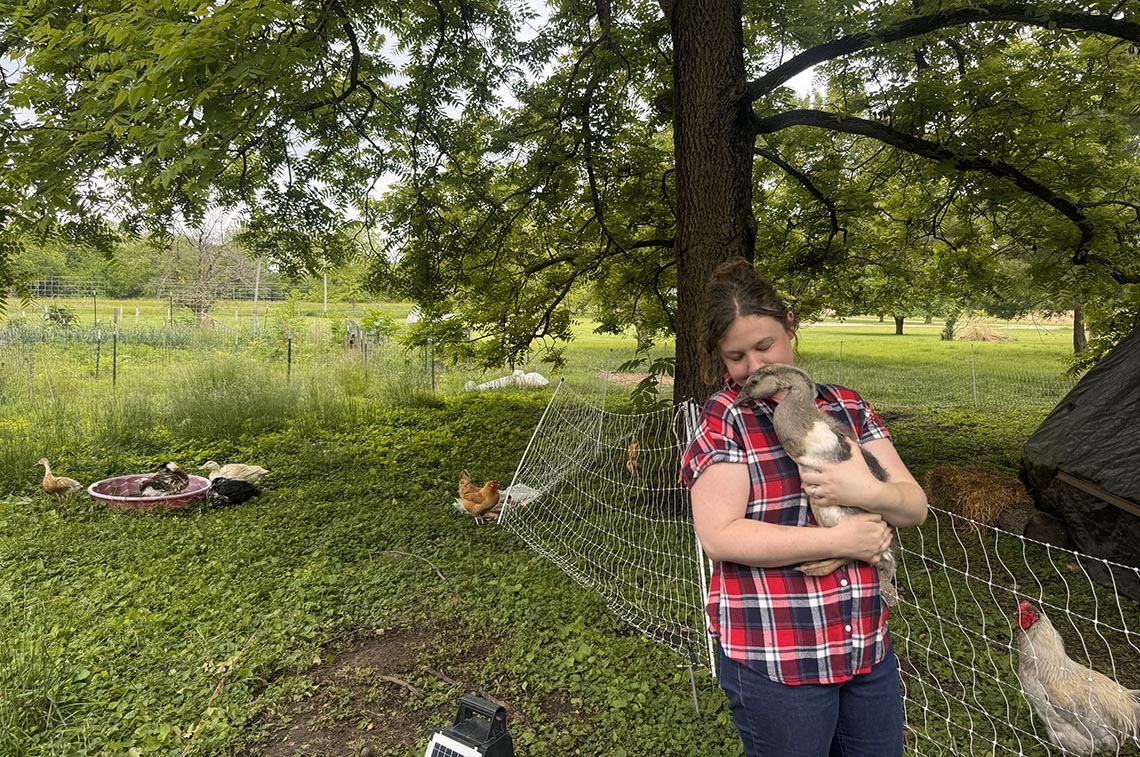Illinois ‘chicken bill’ aims to boost small poultry farms, expand ...