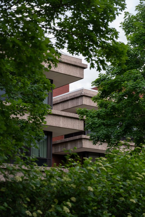 SIUE faculty members awarded STEP Grants for innovative research ...