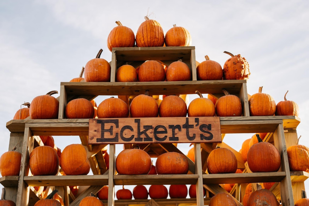 Eckert’s Farm opens Pick-Your-Own pumpkins Sept. 19, announces Fall ...