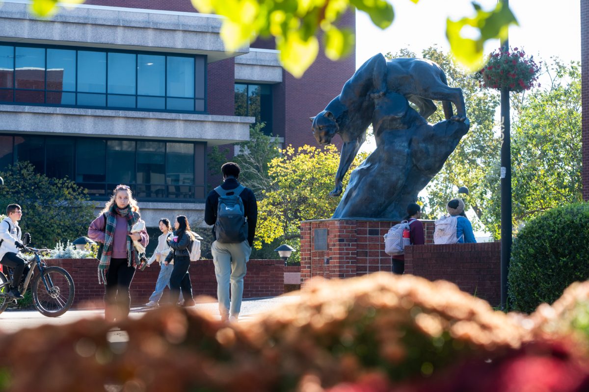 SIUE Spring 2026 continues trend of enrollment success – Illinois ...